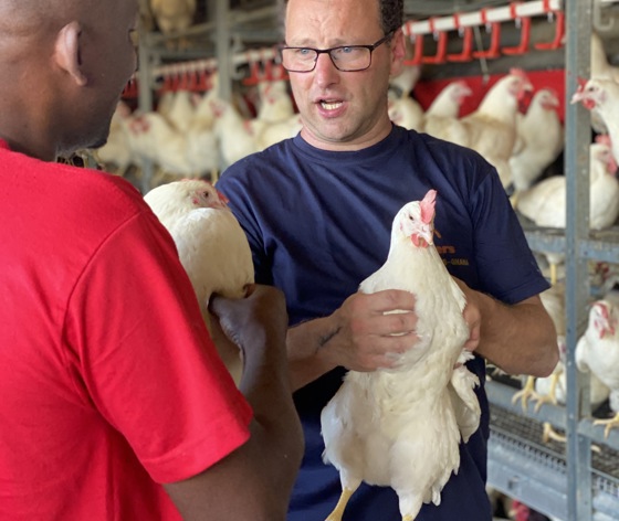 Our Virtual Farm & Hatchery